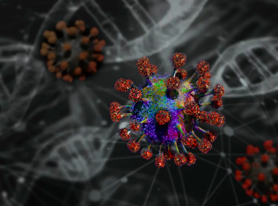 Esistono due tipi di SARS-CoV2? Lo suggerisce un recente studio basato su 103 genomi - Open